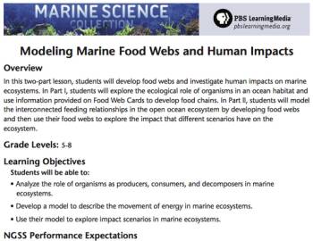 Modeling Marine Food Webs and Human Impacts on Marine Ecosystems ...