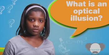 Ask A Scientist What Is An Optical Illusion Resources