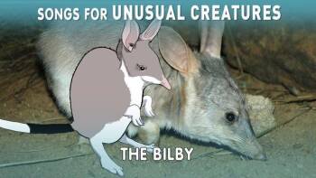 The Easter Bilby? | Songs For Unusual Creatures :: Resources ...