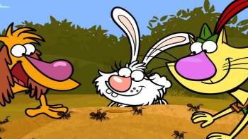 Nature Cat | Ants Revolution :: Resources :: California Educators Together