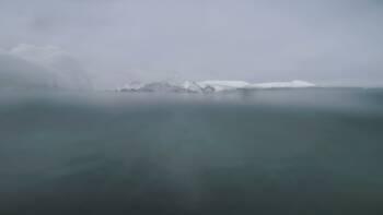 Measuring Sea Ice at the Peak of Melt :: Resources :: California ...