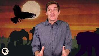 Do Animals Mourn Their Dead? (ft. BrainCraft and Gross Science!) | It's ...