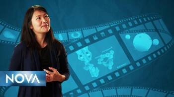 The Secret Life of Scientists & Engineers | Janet Iwasa :: Resources ...