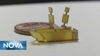 The Origami Revolution | Microrobots from Foldable Designs :: Resources ...