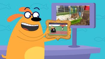 Eye of the Hamster - Video | The Ruff Ruffman Show :: Resources ...