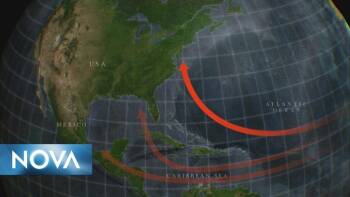 Hurricane Paths Over Time | NOVA :: Resources :: California Educators ...