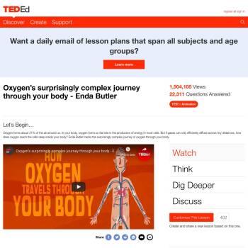 Oxygen’s surprisingly complex journey through your body - Enda Butler ...