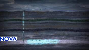 Trees Mitigate Climate Change | Decoding the Weather Machine ...