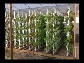 Alternative Agriculture: Hydroponics | Weird Wonderful West Virginia ...