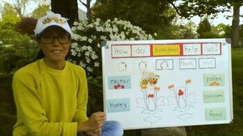 Bees and Pollination | Let's Learn :: Resources :: California Educators ...