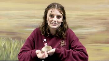 Let's Discover Science: Health | Let's Learn :: Resources :: California ...