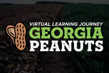 Georgia Peanuts | Virtual Learning Journey :: Resources :: California ...
