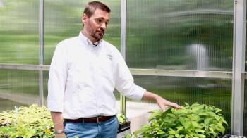 Dr. Cory Christopher: Backyard Naturalist | Science Around Cincy ...