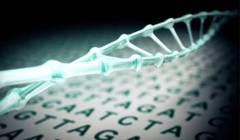 Genetics & Lynch Syndrome | PBS NC Science :: Resources :: California ...