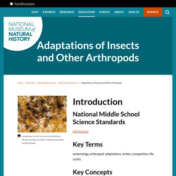 Adaptations of Insects and Other Arthropods :: Resources :: California ...