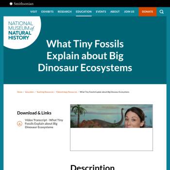 What Tiny Fossils Explain about Big Dinosaur Ecosystems :: Resources ...