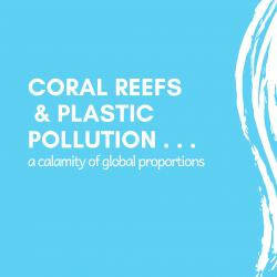 Plastic Pollution & Coral Reefs: A Calamity of Global Proportions ...