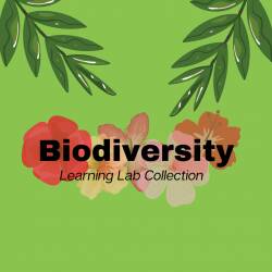 Biodiversity Classroom Learning Lab :: Resources :: California Educators Together