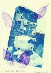 Grade 1 Powerful Forces Module 3 :: Resources :: California Educators ...