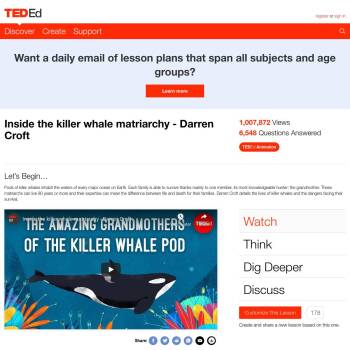 Inside the killer whale matriarchy - Darren Croft :: Resources ...