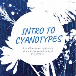 Cyanotypes :: Resources :: California Educators Together