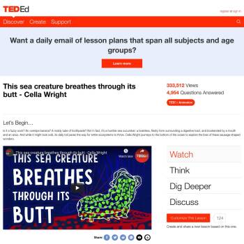 This sea creature breathes through its butt - Cella Wright :: Resources ...
