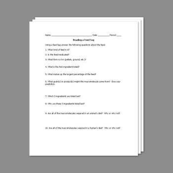 Feed Tag Activity Worksheet :: Resources :: California Educators Together