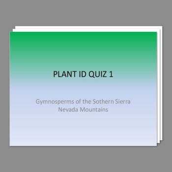 Tree and Shrub ID Quiz :: Resources :: California Educators Together