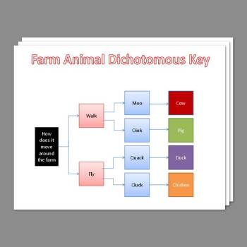Farm Animal Dichotomous Key :: Resources :: California Educators Together