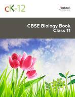 CK-12 CBSE Biology Class 11 :: Resources :: California Educators Together