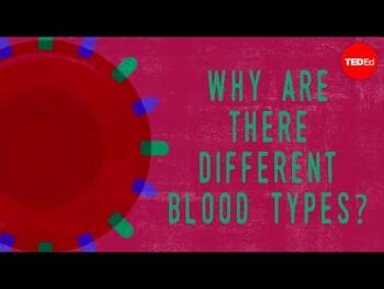 Why Do Blood Types Matter? (4:41) :: Resources :: California Educators ...